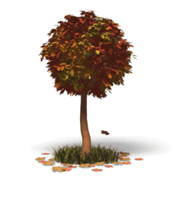 Fall Tree Leaves | 3D Animated Clipart for PowerPoint - PresenterMedia.com