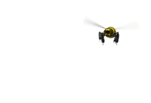 Bee Flying | 3D Animated Clipart for PowerPoint - PresenterMedia.com