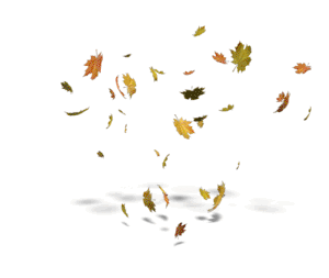 Leaves Blowing | 3D Animated Clipart for PowerPoint - PresenterMedia.com