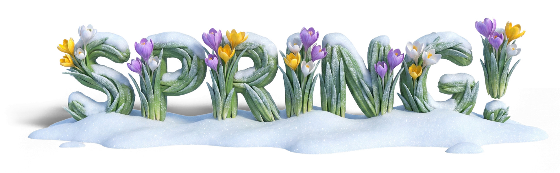 Spring Text with Flowers in Snow PowerPoint Clipart