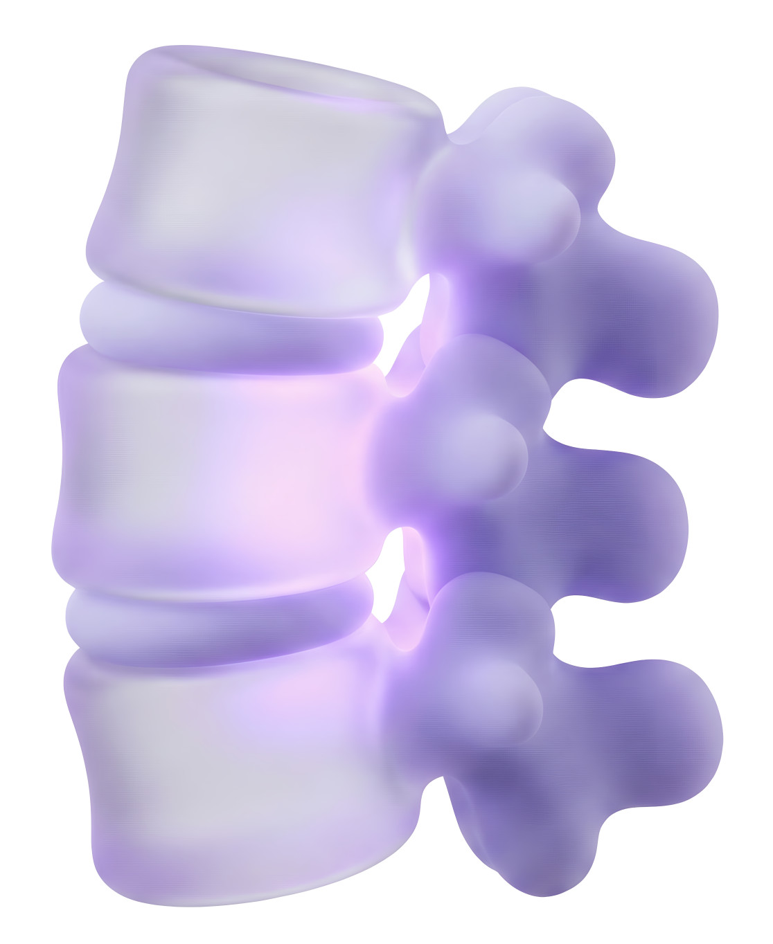Stylized Spine Presentation Clipart