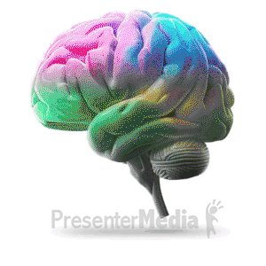 Moving Brain Animation