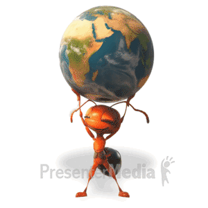 Ant Animated Gif