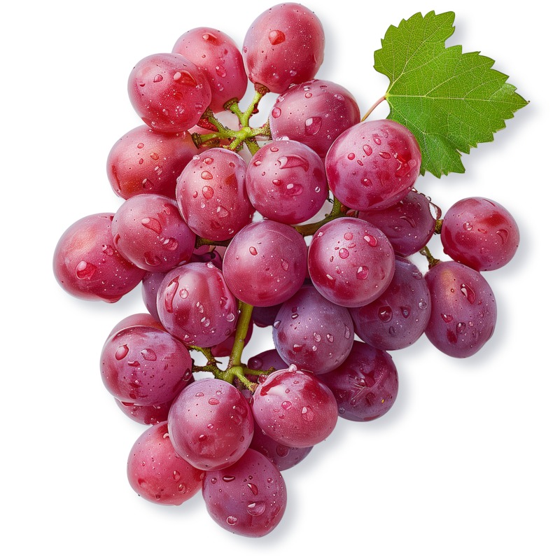 Grapes Clip Art Grapes Clip Art.ai Royalty Free Stock Vector Images